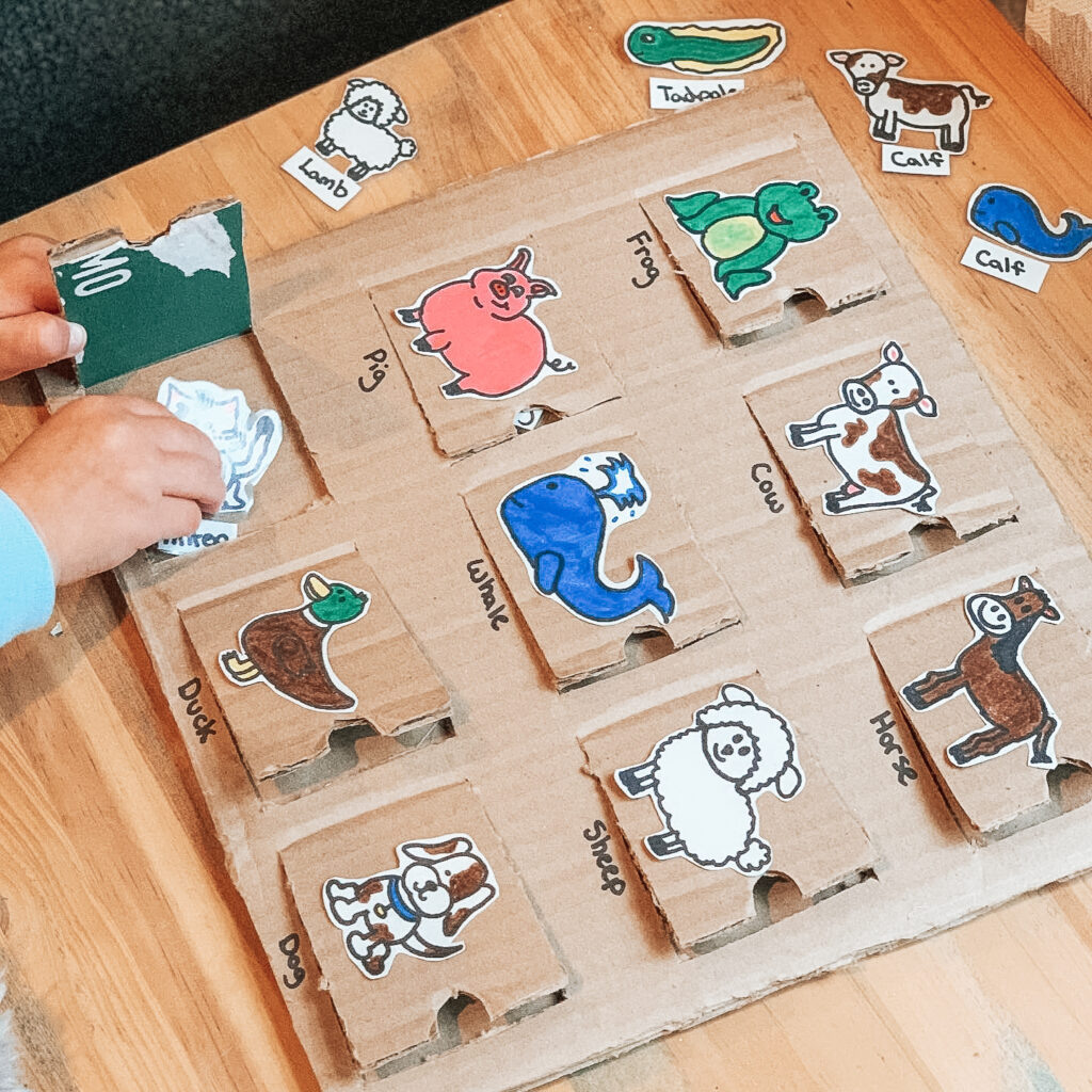 Sheep Activities - CraftMonsterz